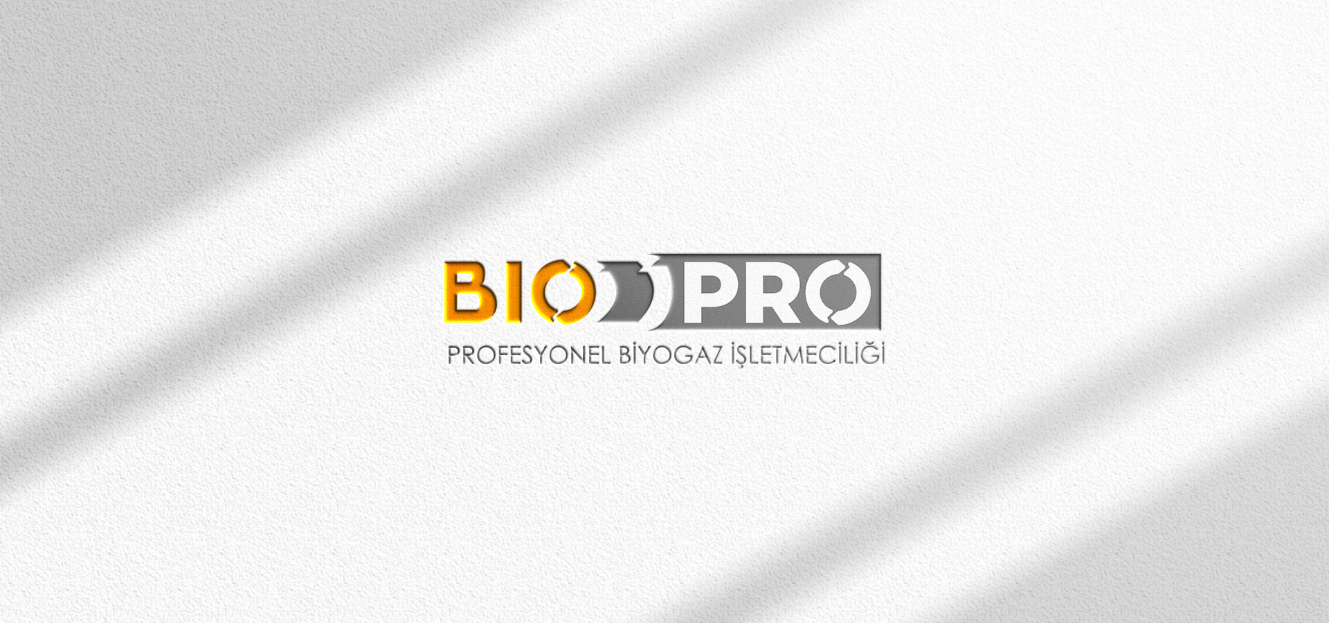 BİOPAC LOGO TASARIMI